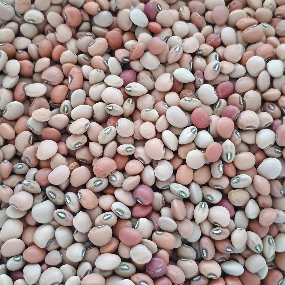 Rabiza beans – Vida a Granel